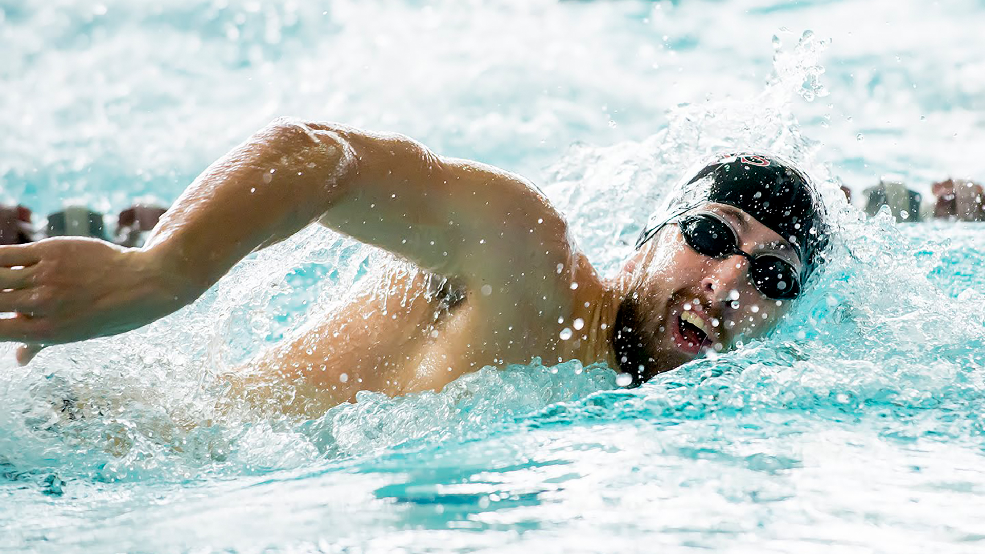 Daniel Rosenberger - 2019-20 - Men's Swimming - Stevens Institute of ...
