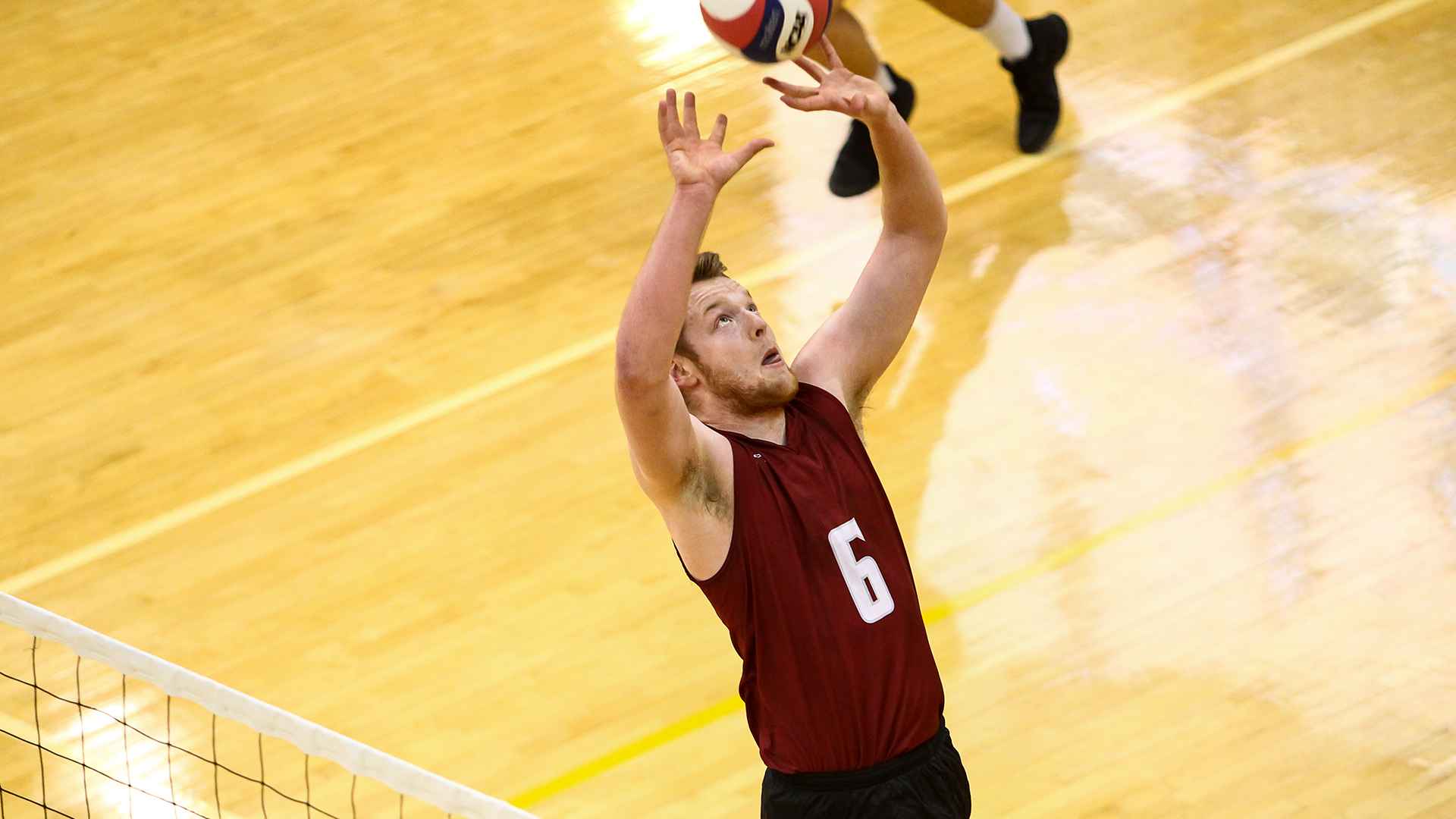 Jacob Patterson - 2019 - Men's Volleyball - Stevens Institute of ...