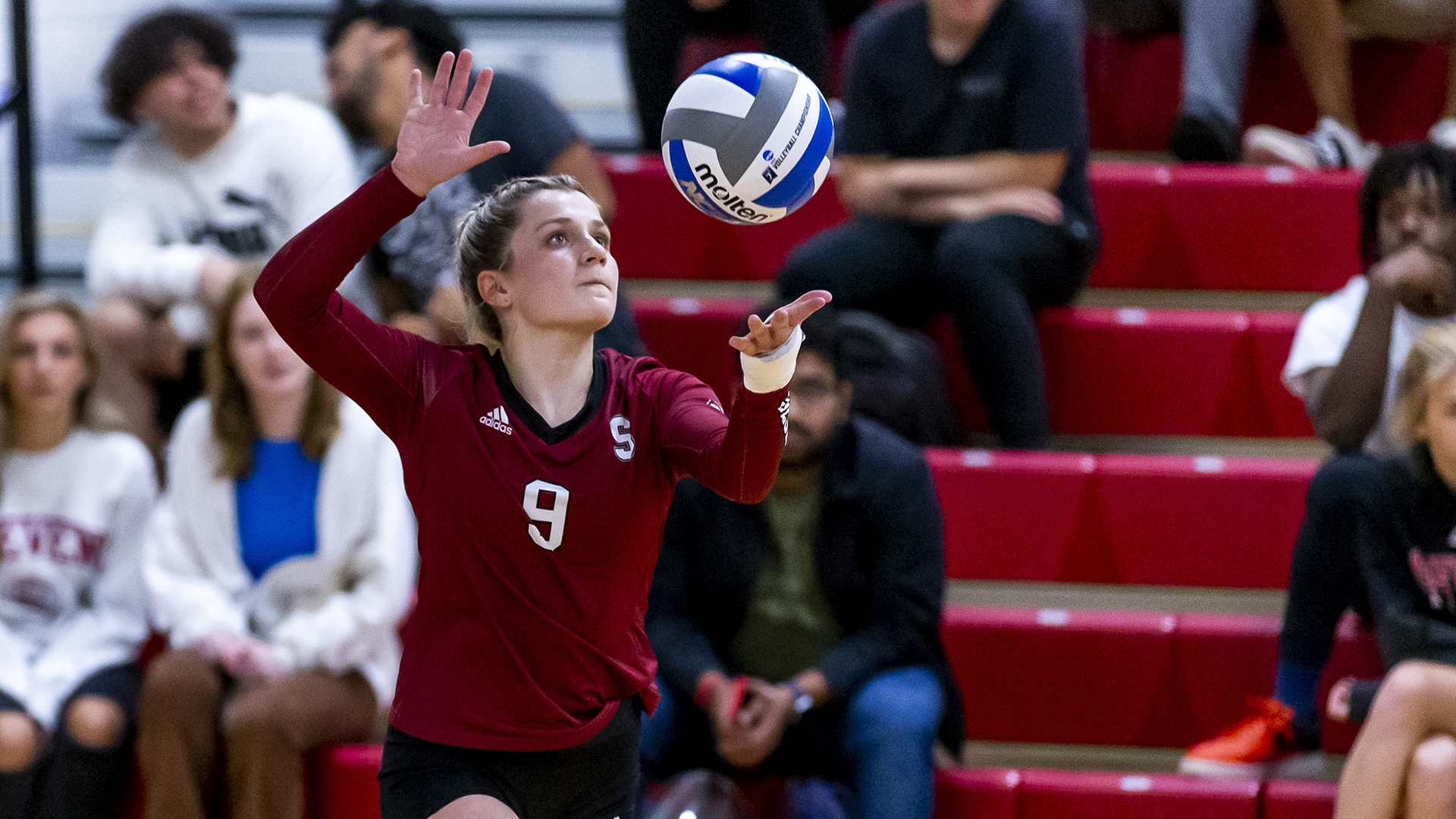 Bailey Axelrad - 2023 - Women's Volleyball - Stevens Institute of ...