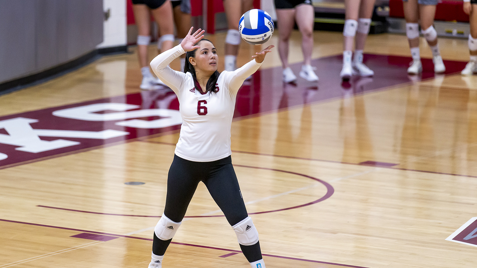 Madison Sappia - 2023 - Women's Volleyball - Stevens Institute of ...