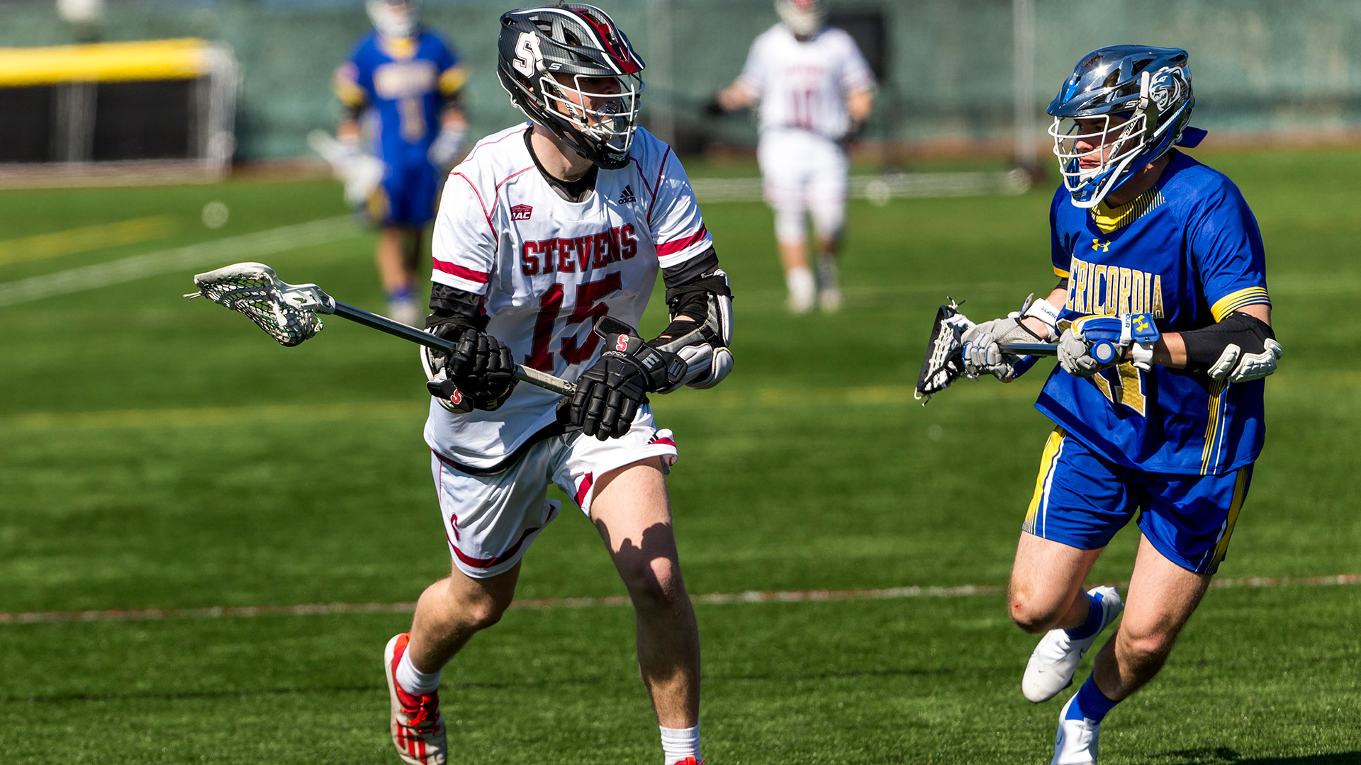 Joseph Grippo - 2024 - Men's Lacrosse - Stevens Institute of Technology ...