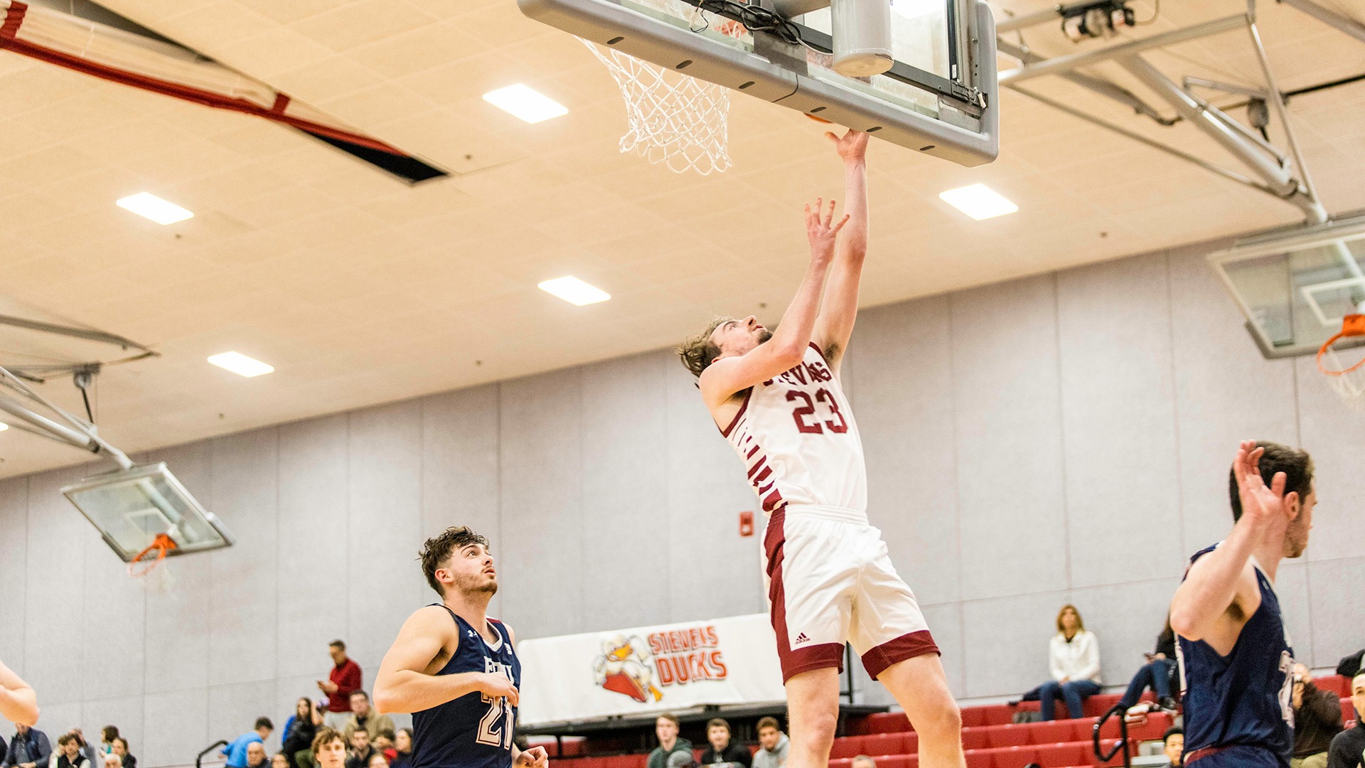 Conor Coffey - 2023-24 - Men's Basketball - Stevens Institute of ...