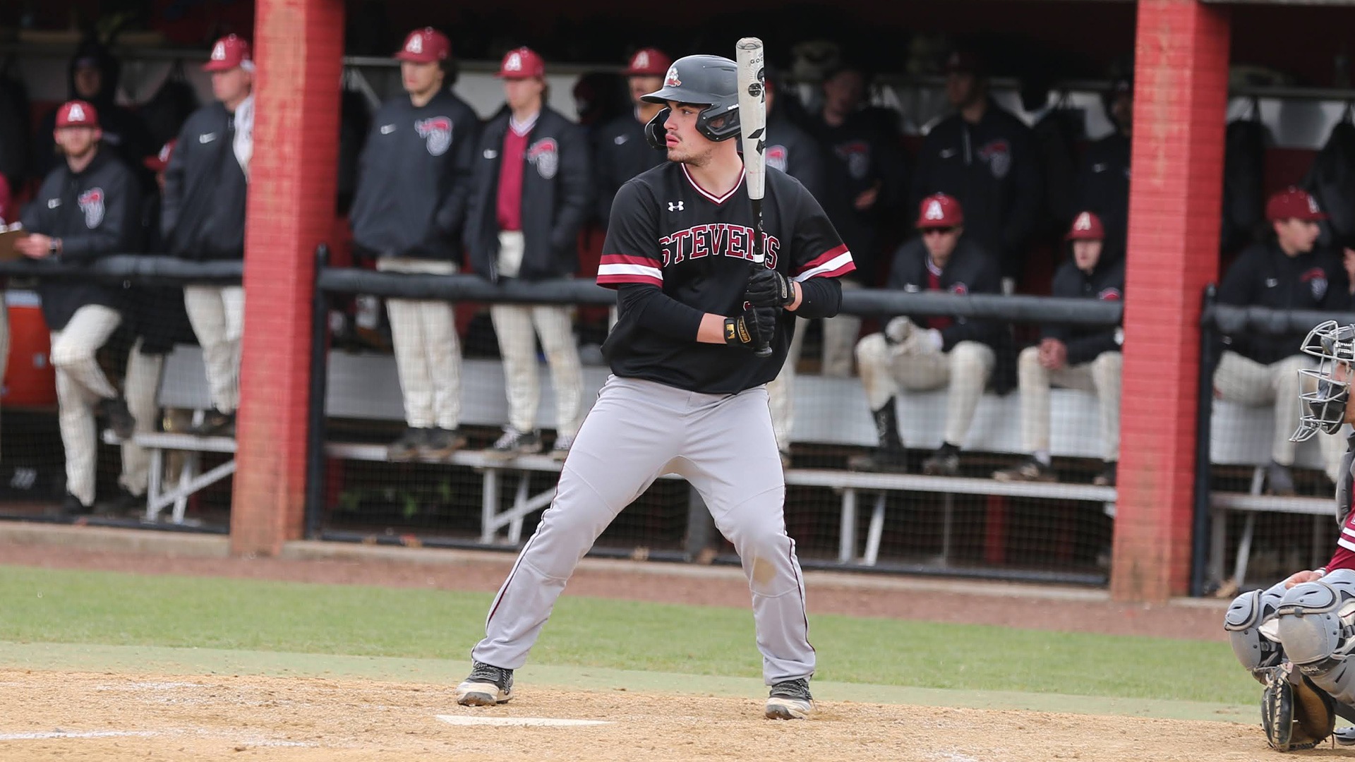 Dave Stevens Baseball