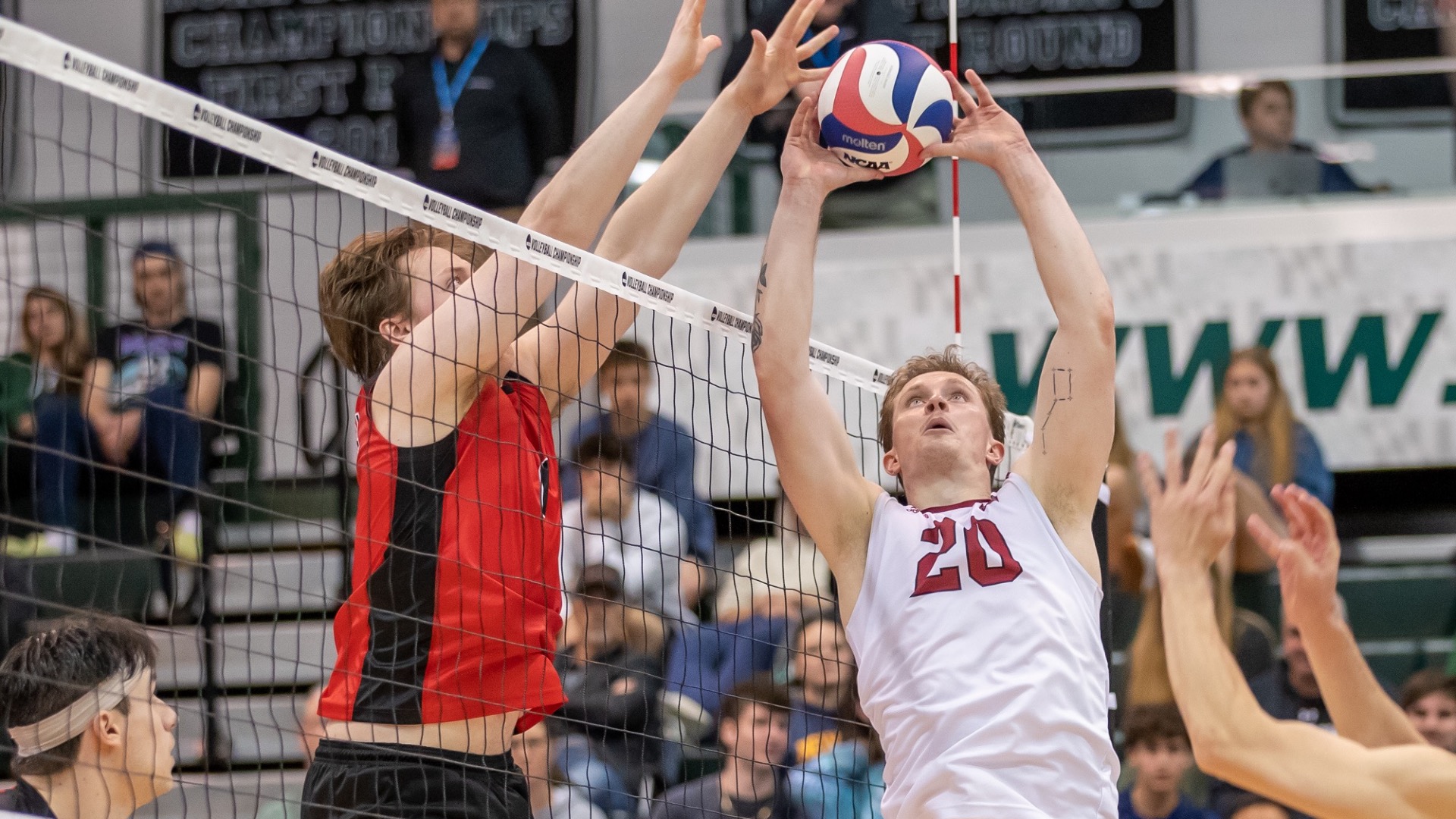 Louden Moran - 2024 - Men's Volleyball - Stevens Institute of ...