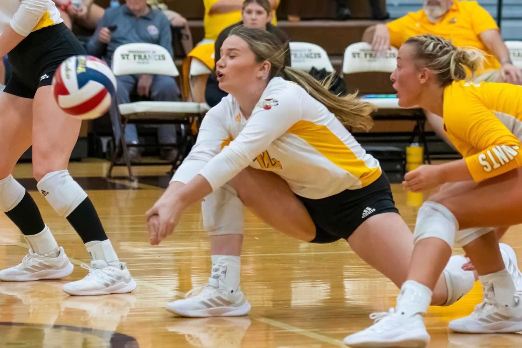 Abby Sippel - 2023 - Women's Volleyball - University of St. Francis (III.)