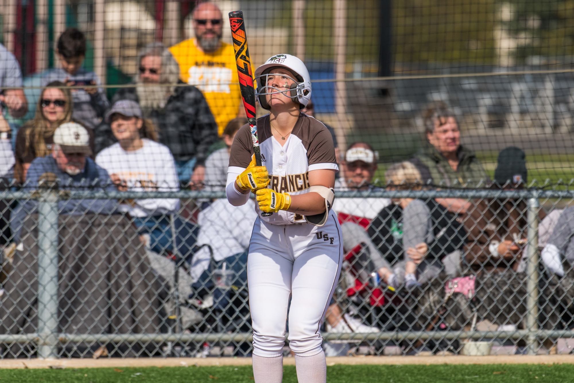 Maddie Massaro - 2023 - Softball - University of St. Francis (III.)