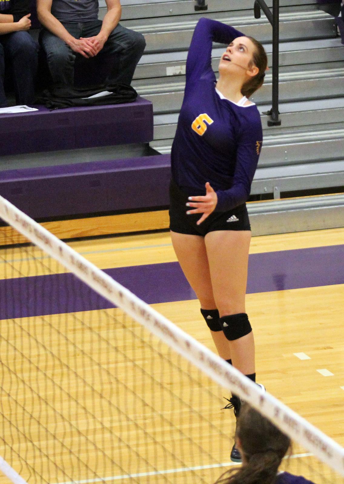 Emily Carman - 2018 - Volleyball - St. Catherine University Athletics