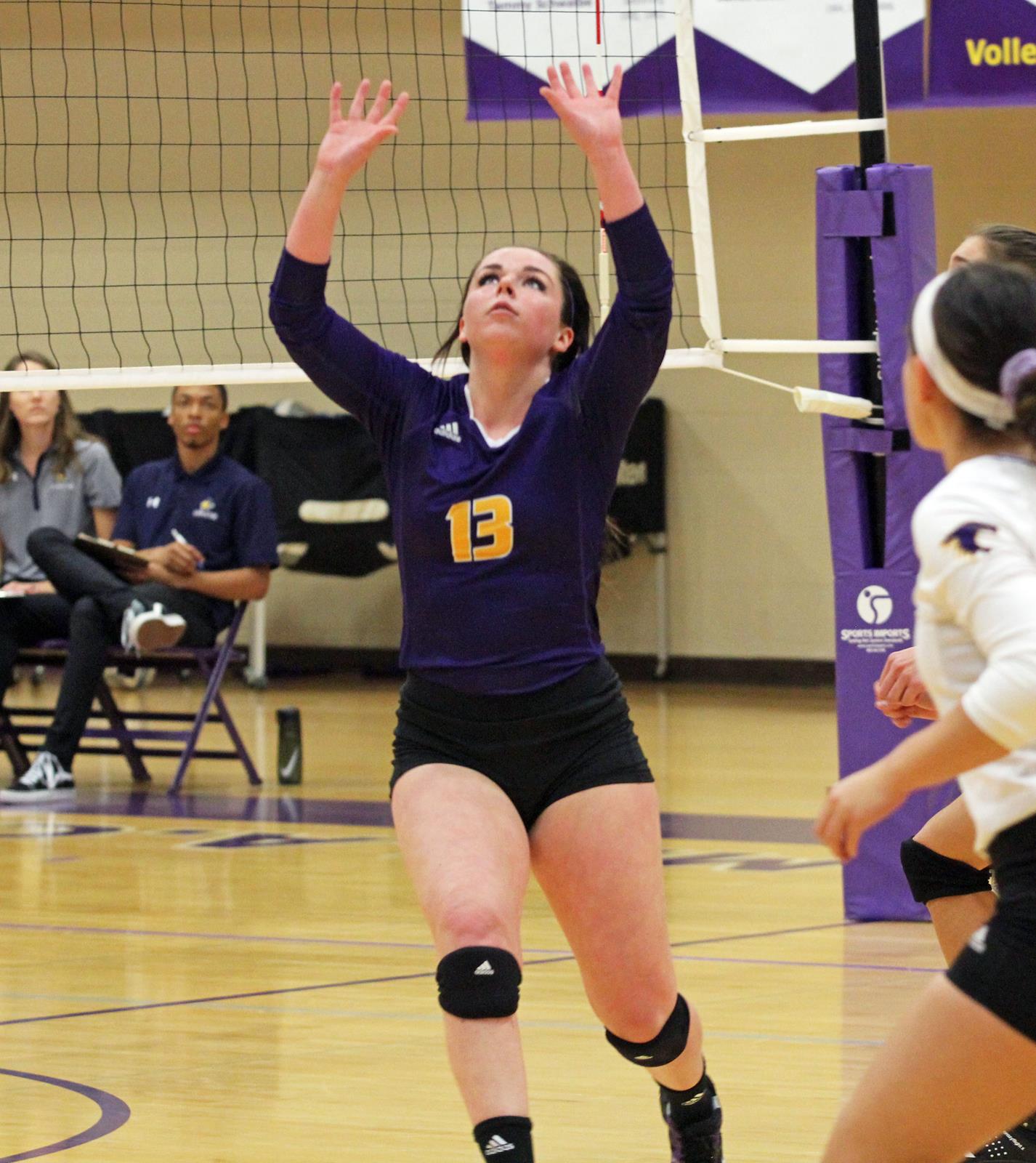 Emily Neumann - 2017 - Volleyball - St. Catherine University Athletics