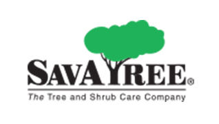 Dance - St. Catherine University Athletics