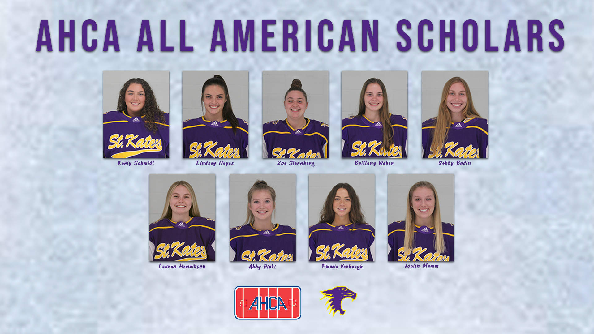Nine hockey student-athletes named AHCA All-American Scholars - St ...
