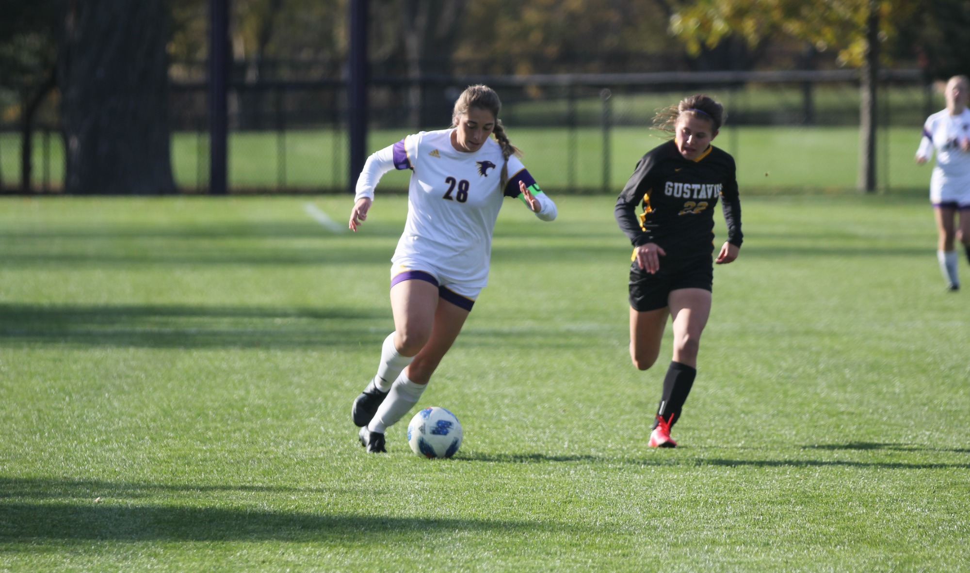 Wildcats defeat Storm 4-1 in home opener - St. Catherine University ...
