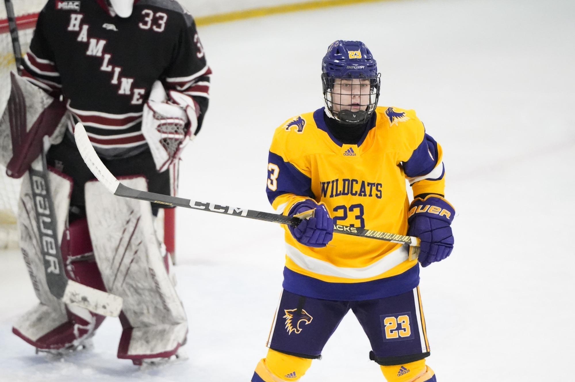 Hockey welcomes Kayla Chilstrom as assistant coach - St. Catherine ...