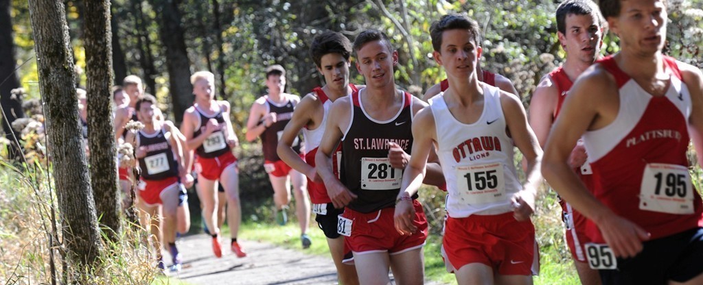 Andrew Jarombek - Men's Cross Country - St. Lawrence University Athletics