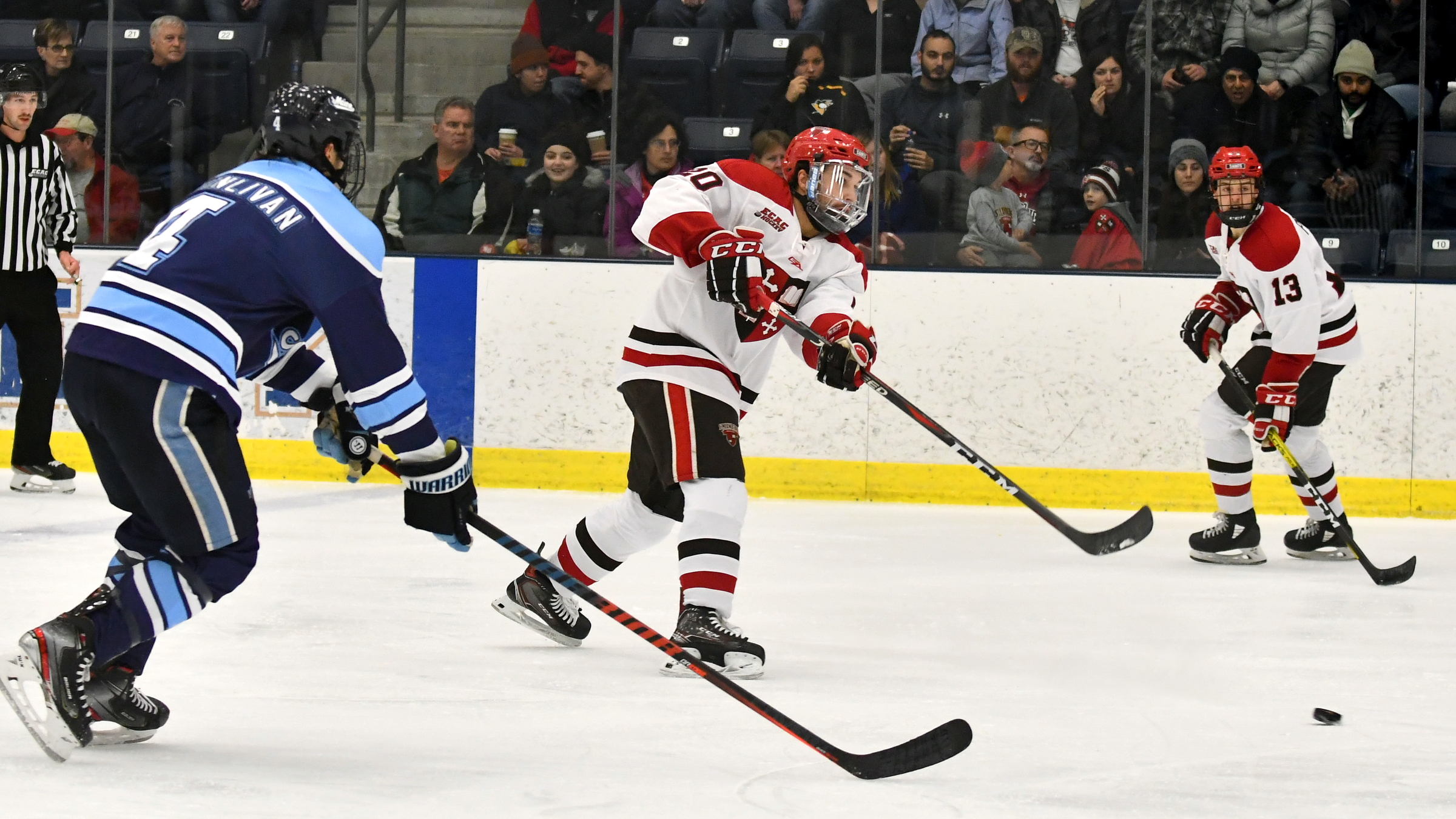 Zach Risteau - Men's Hockey - St. Lawrence University Athletics