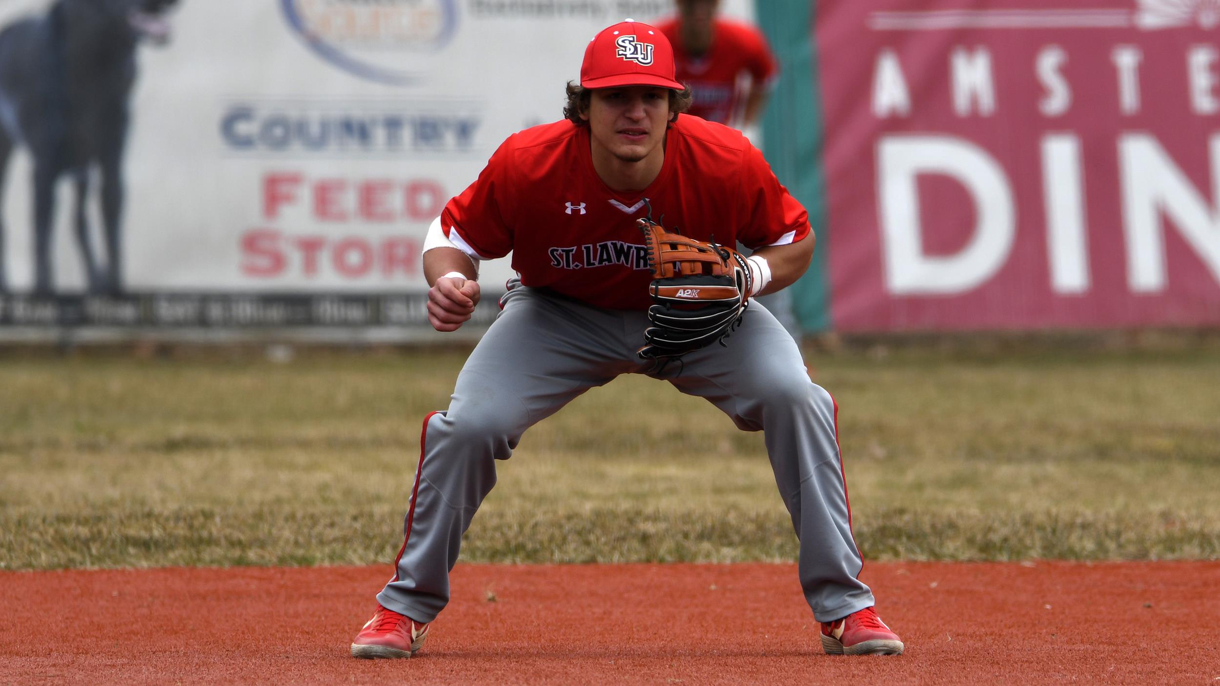 Cristian Forgione - Baseball - St. Lawrence University Athletics