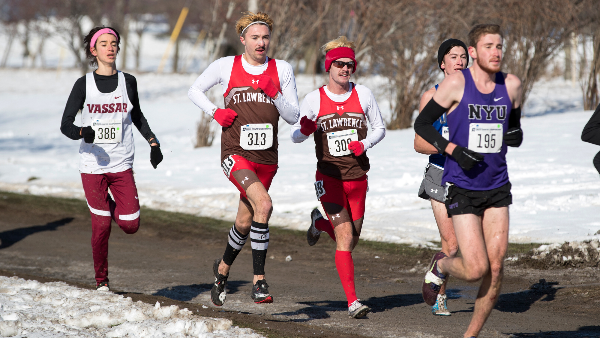 Jackson Hamilton - Men's Cross Country - St. Lawrence University Athletics