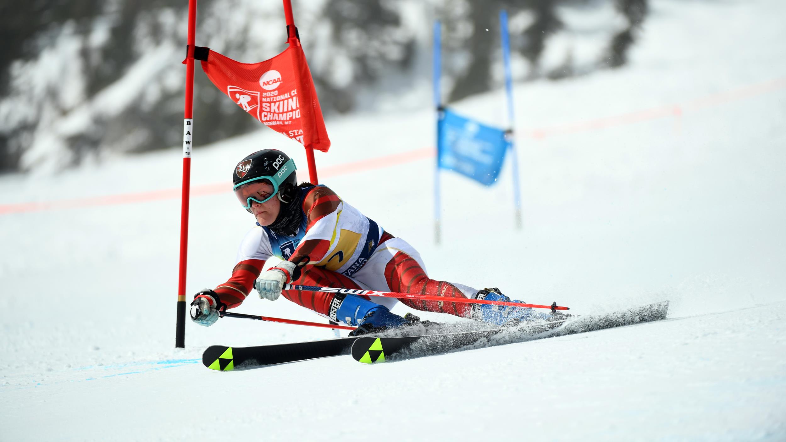 Riley Whitney - Alpine Skiing - St. Lawrence University Athletics