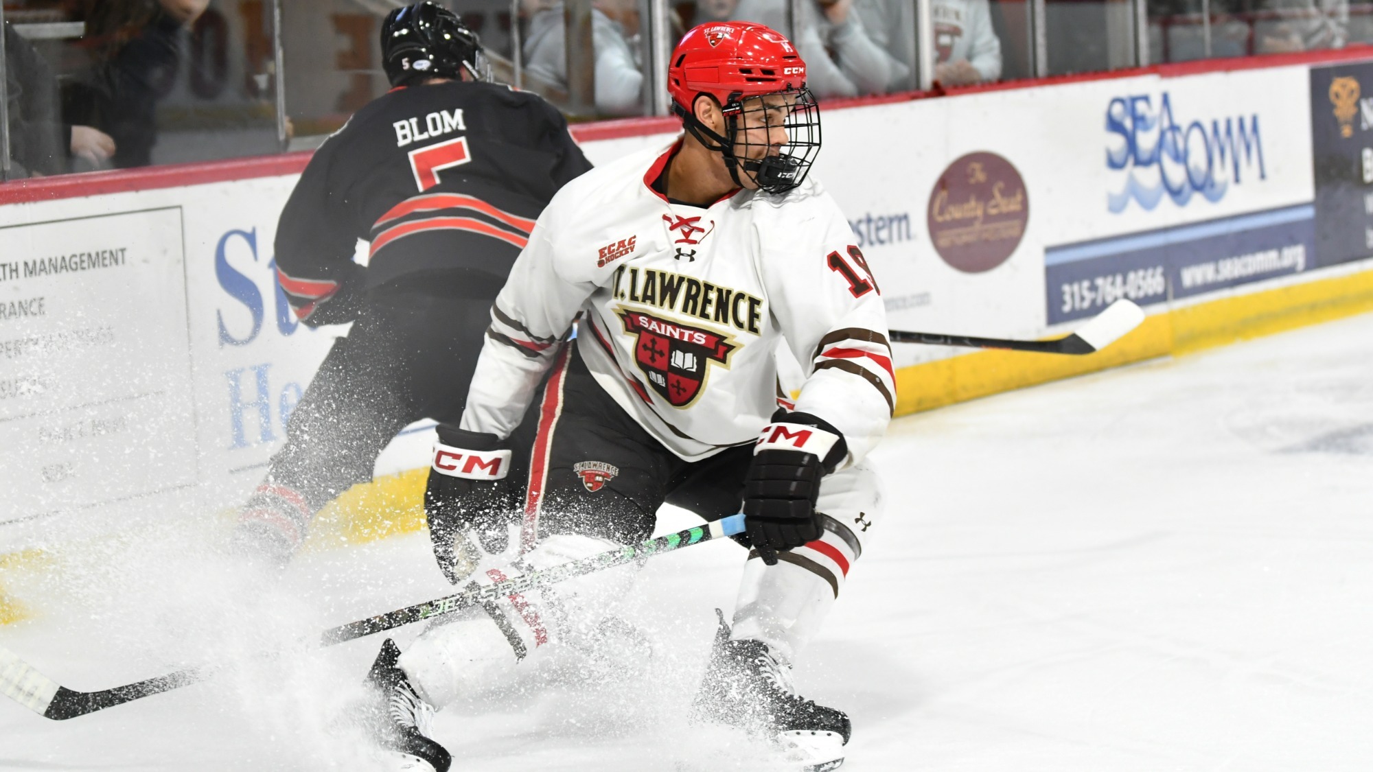 Dorrington Scores Late; Skating Saints Fall 3-1 to Vermont - St ...