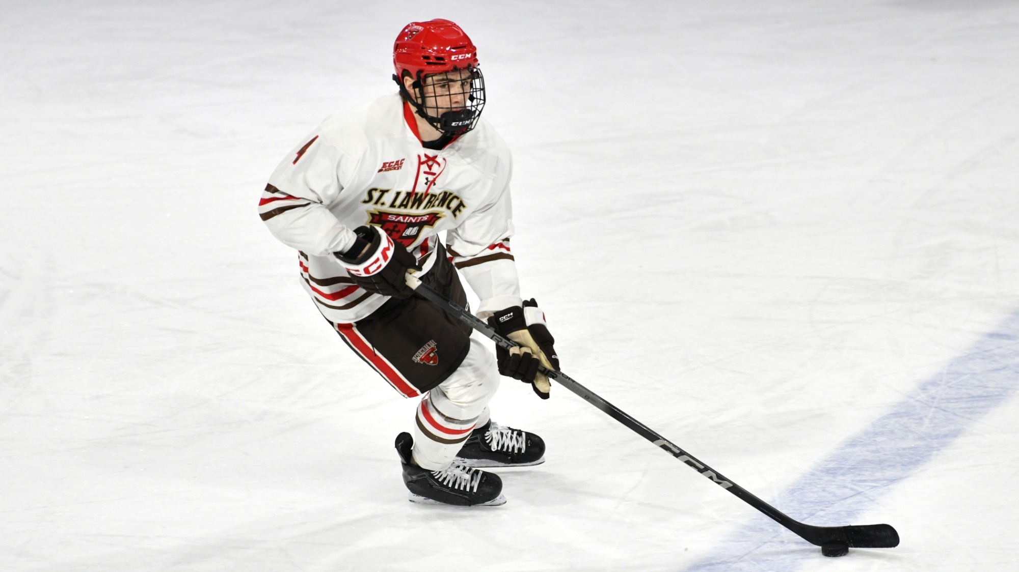 Waite Scores Power Play Goal; Men's Hockey Drops Regular Season Finale ...