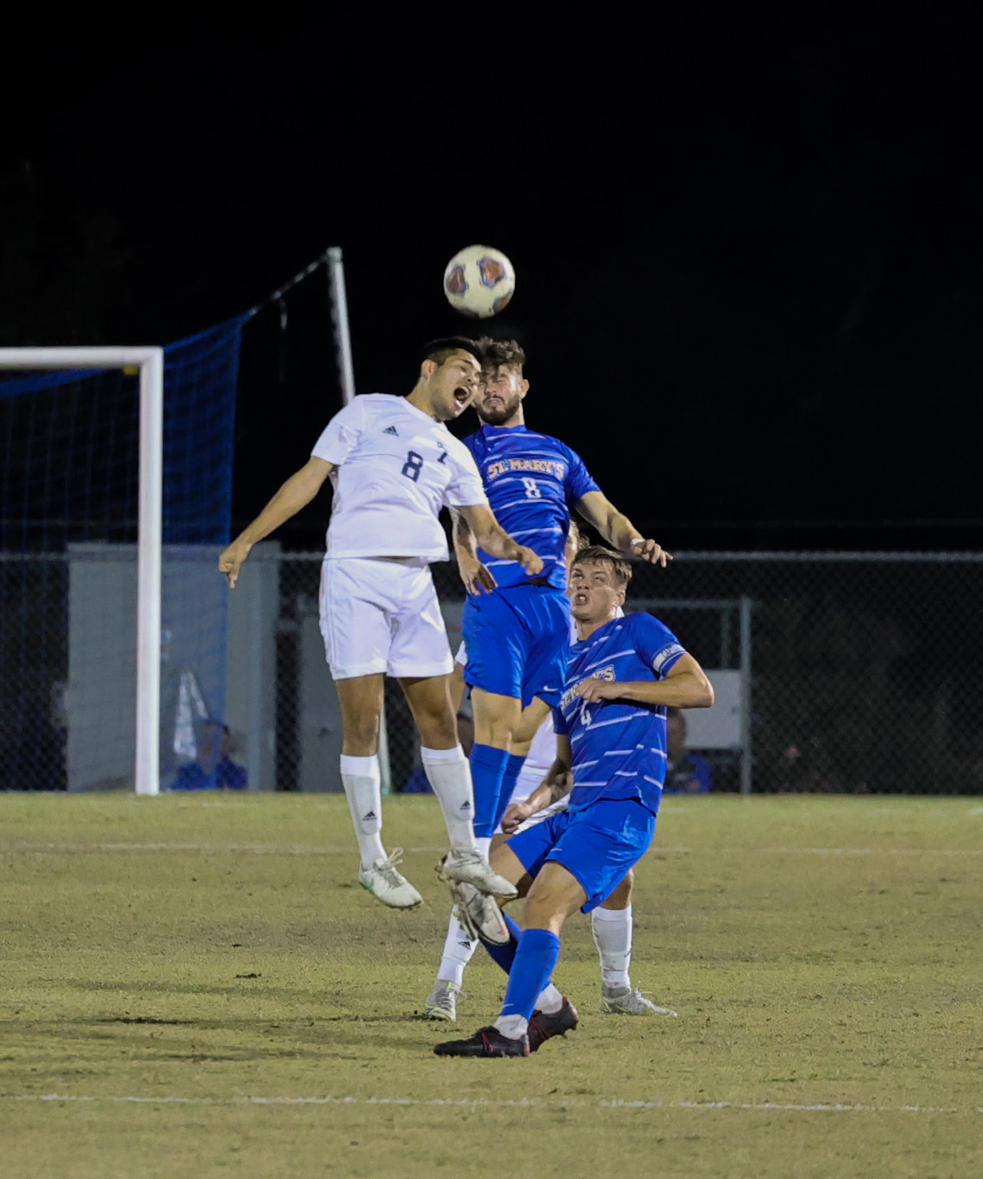 Cian Foley - Men's Soccer - St. Mary's University Athletics
