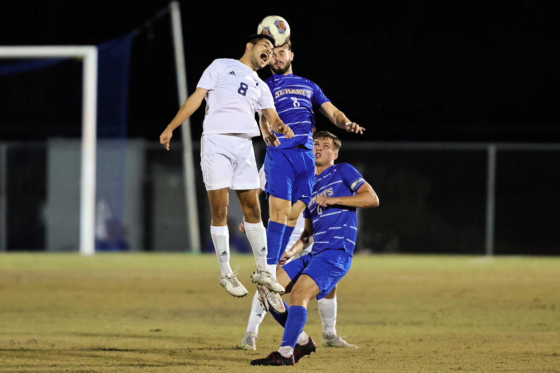 Cian Foley - Men's Soccer - St. Mary's University Athletics