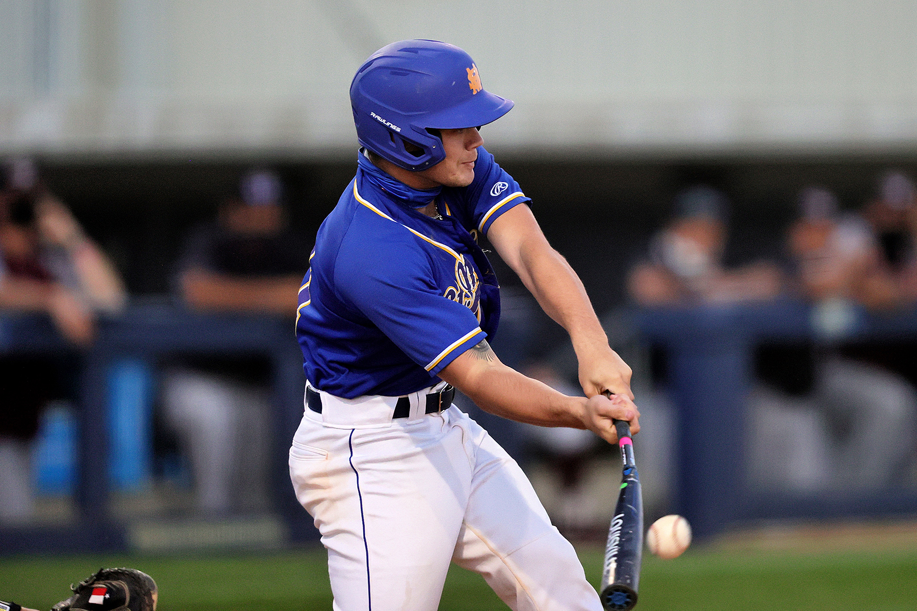 Mac Papini - Baseball - St. Mary's University Athletics