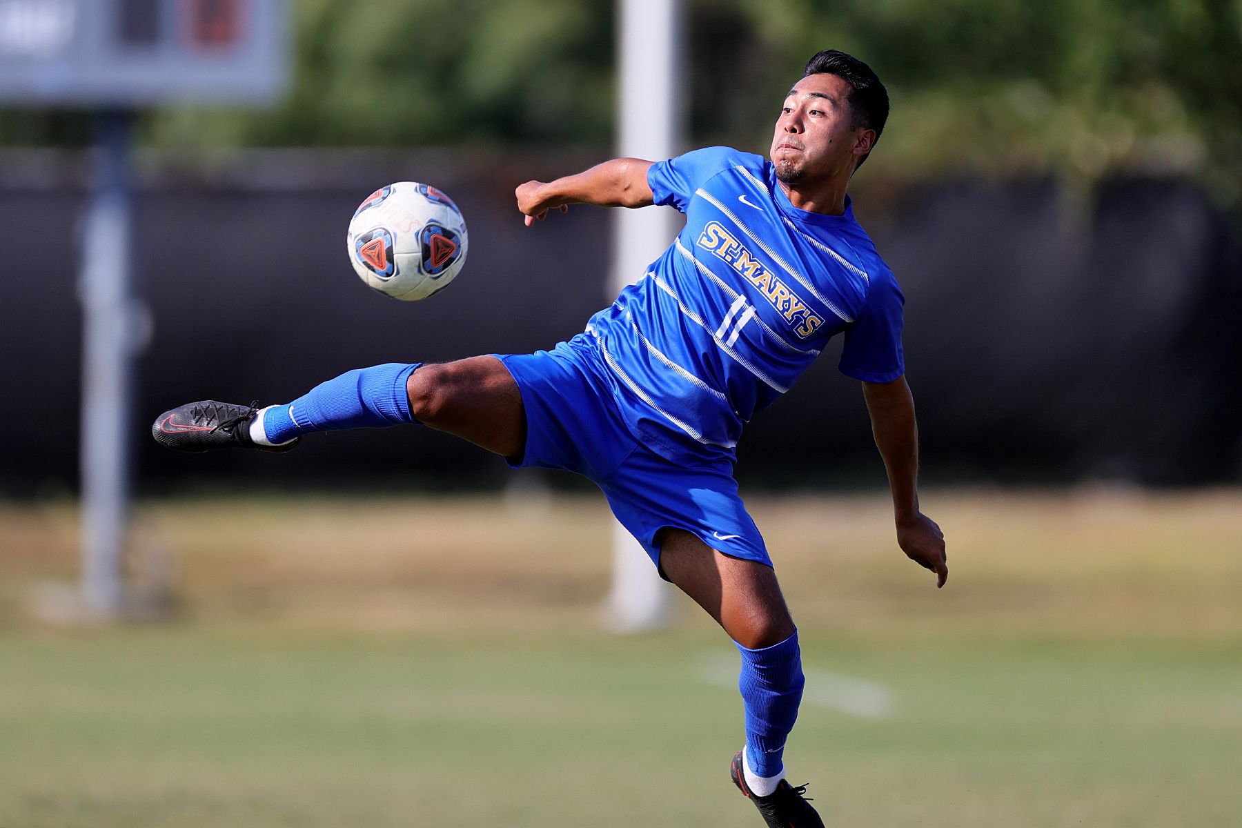 Erwin Regules - Men's Soccer - St. Mary's University Athletics