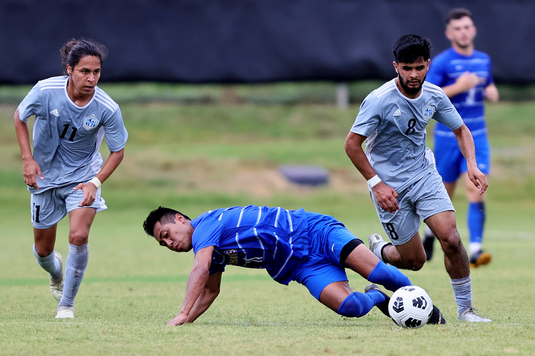 Erwin Regules - Men's Soccer - St. Mary's University Athletics