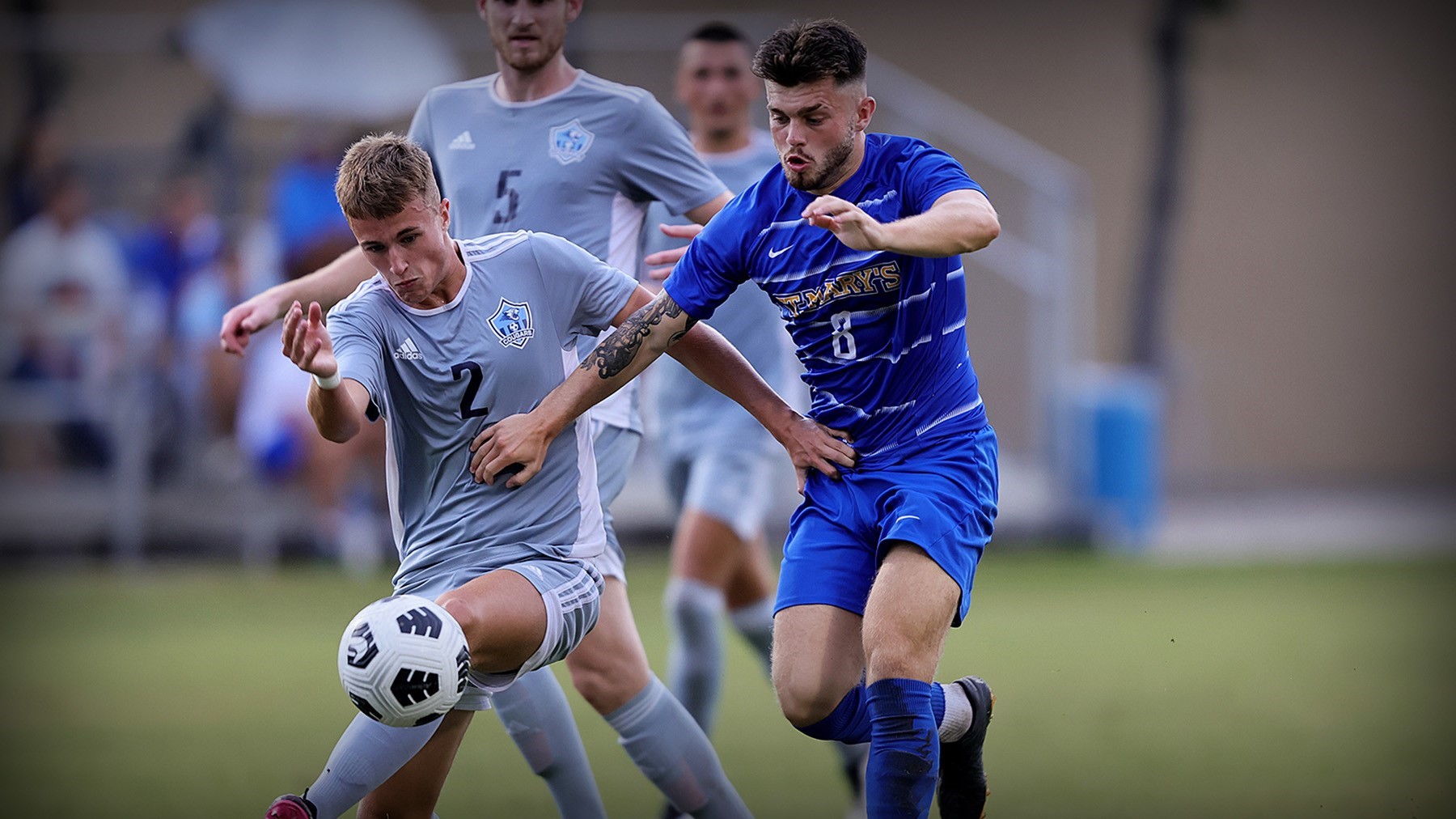 Cian Foley - Men's Soccer - St. Mary's University Athletics