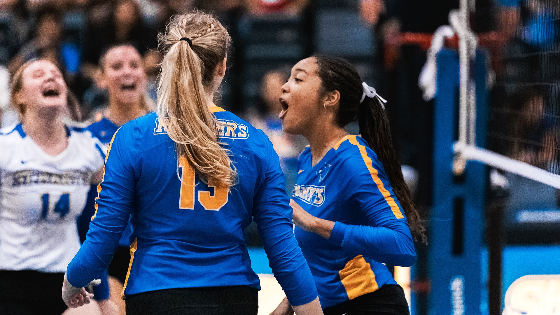 Volleyball Takes the Brooms to Battle of the Saints - St. Mary's ...