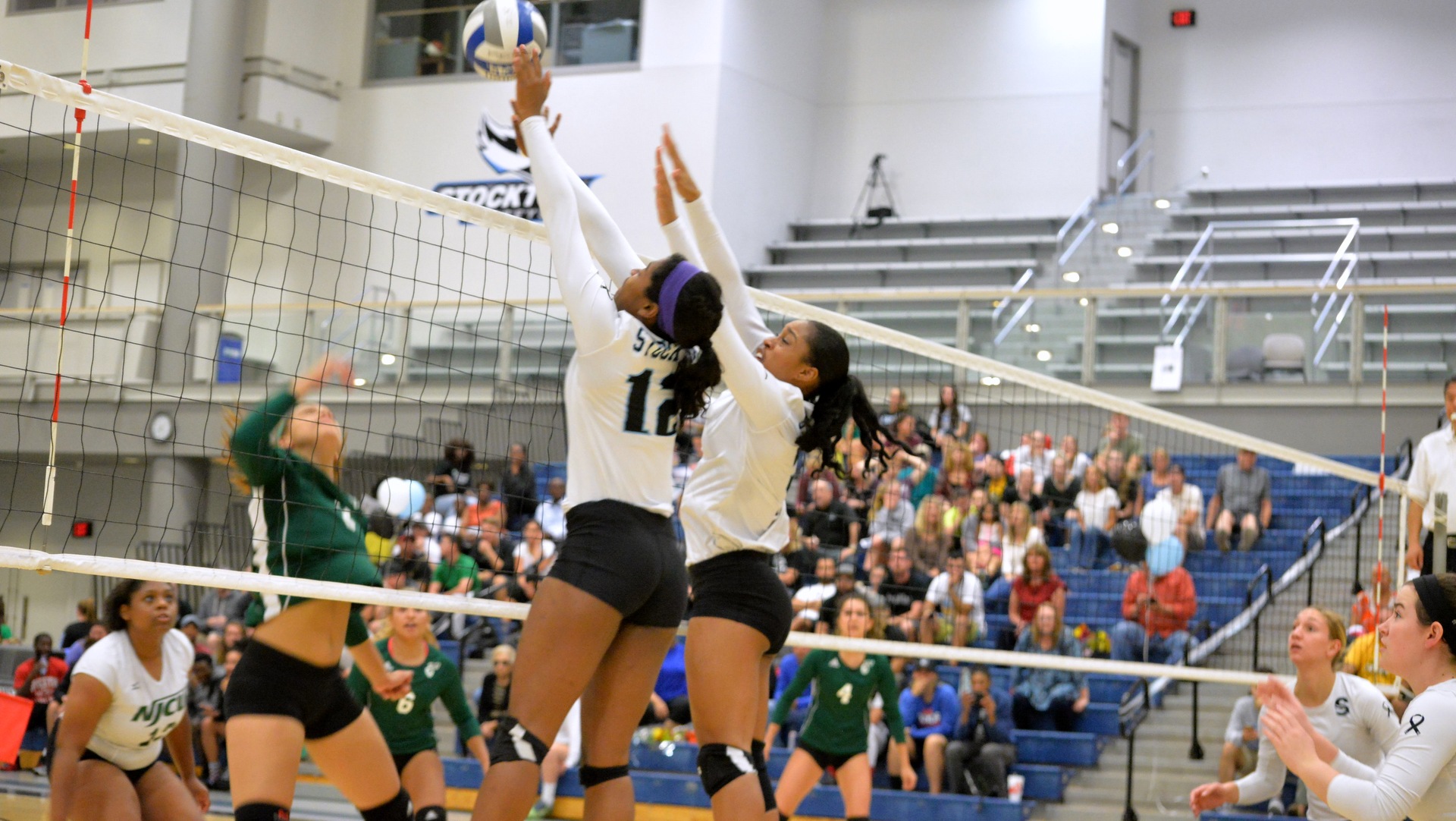 Allie Desmond - Volleyball - Stockton University Athletics