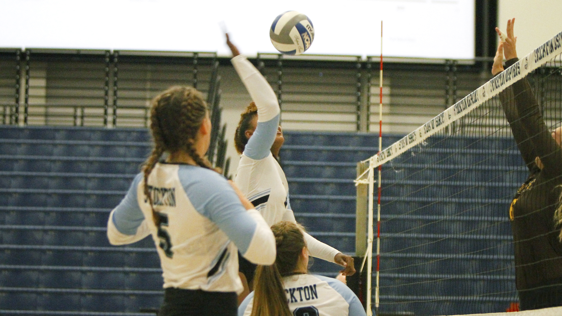 Franceska Gustave - Volleyball - Stockton University Athletics