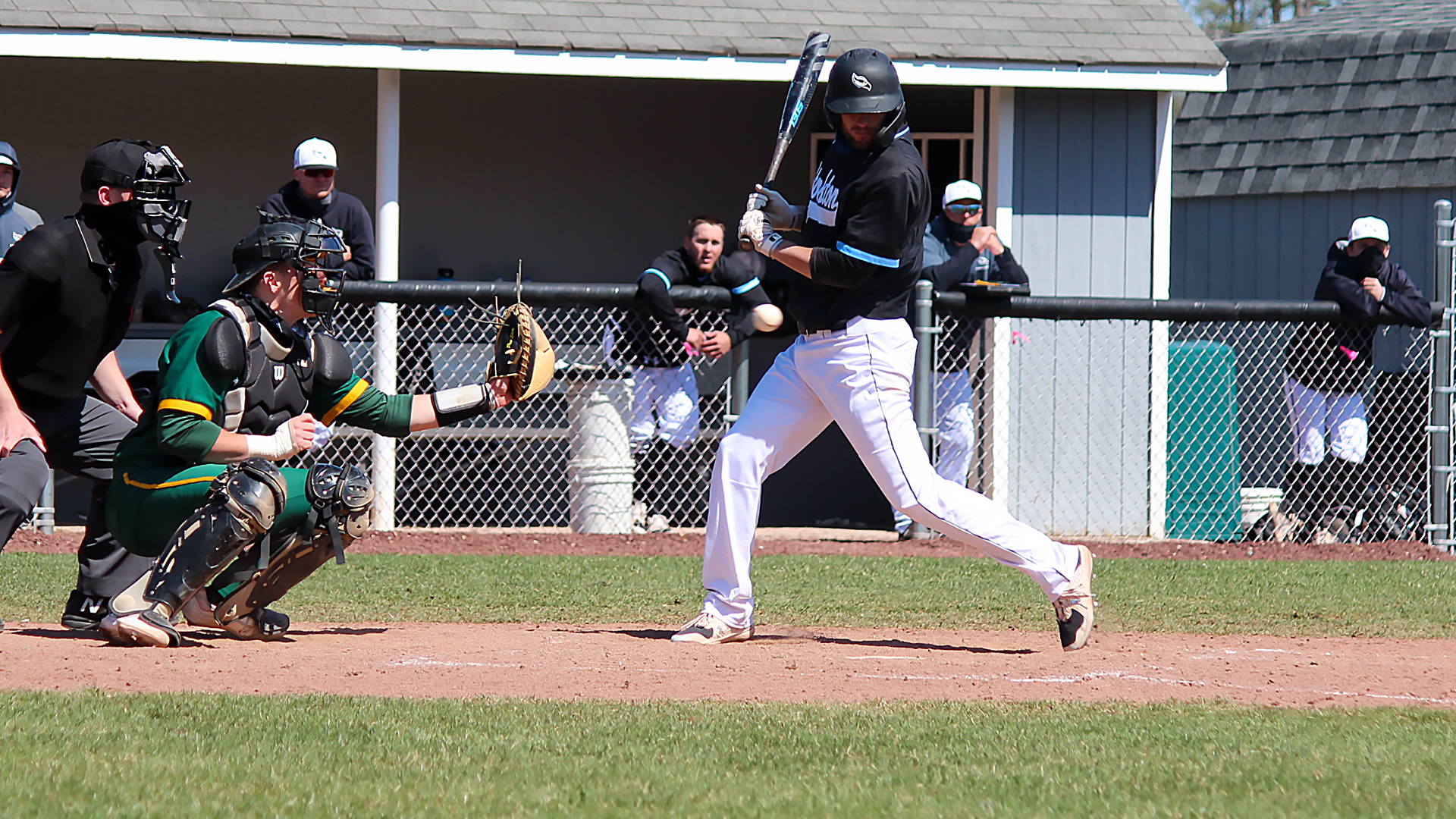 Nick Trifiletti - Baseball - Stockton University Athletics