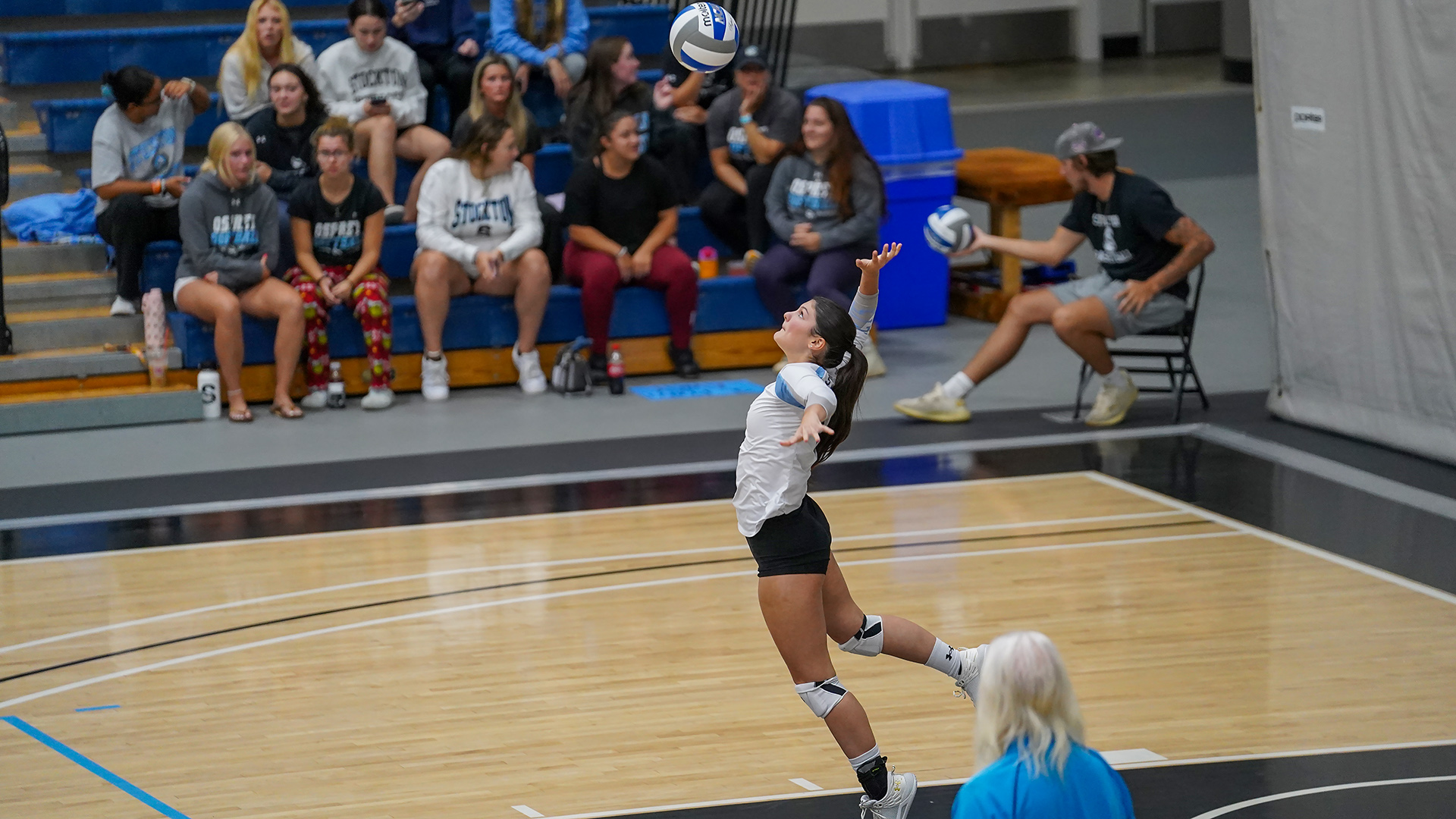 Paige Anania - Volleyball - Stockton University Athletics