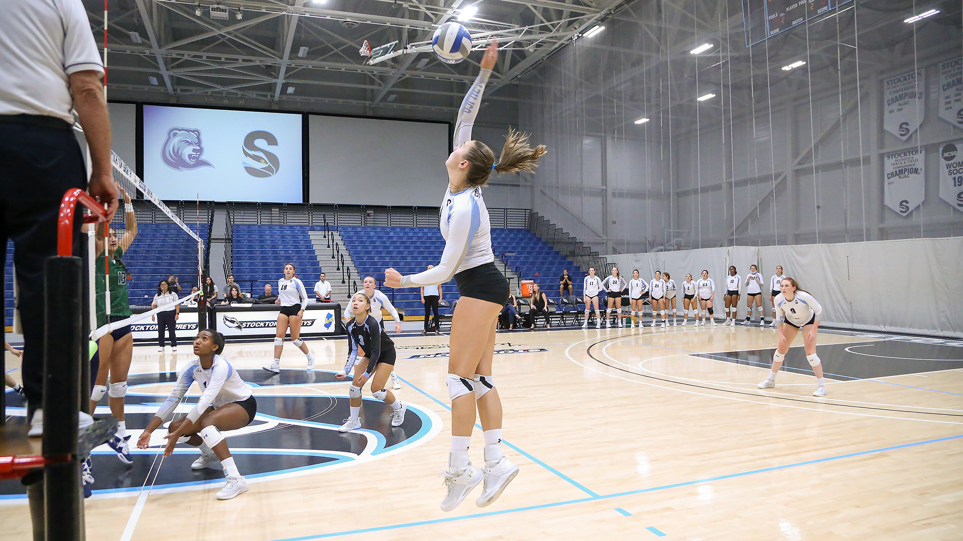 Haley Green - Volleyball - Stockton University Athletics
