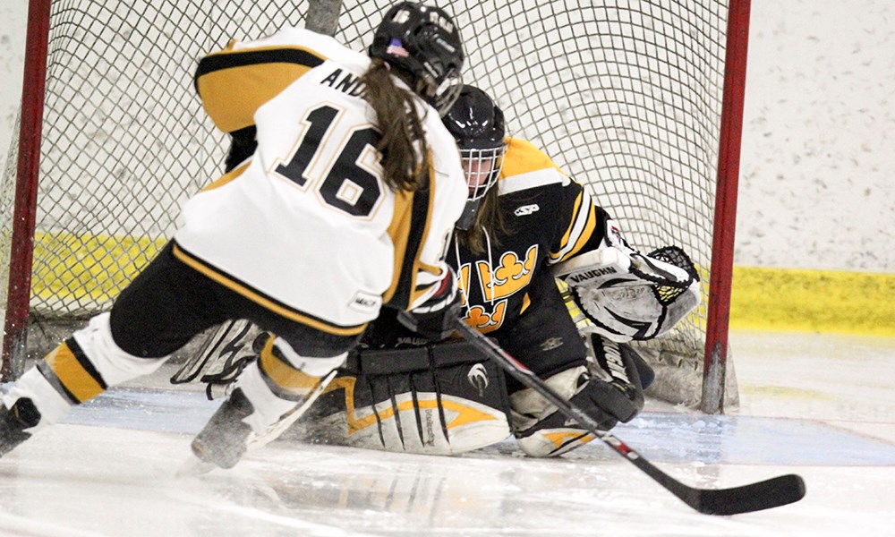 Riley Anderson - Women's Hockey - St. Olaf College Athletics