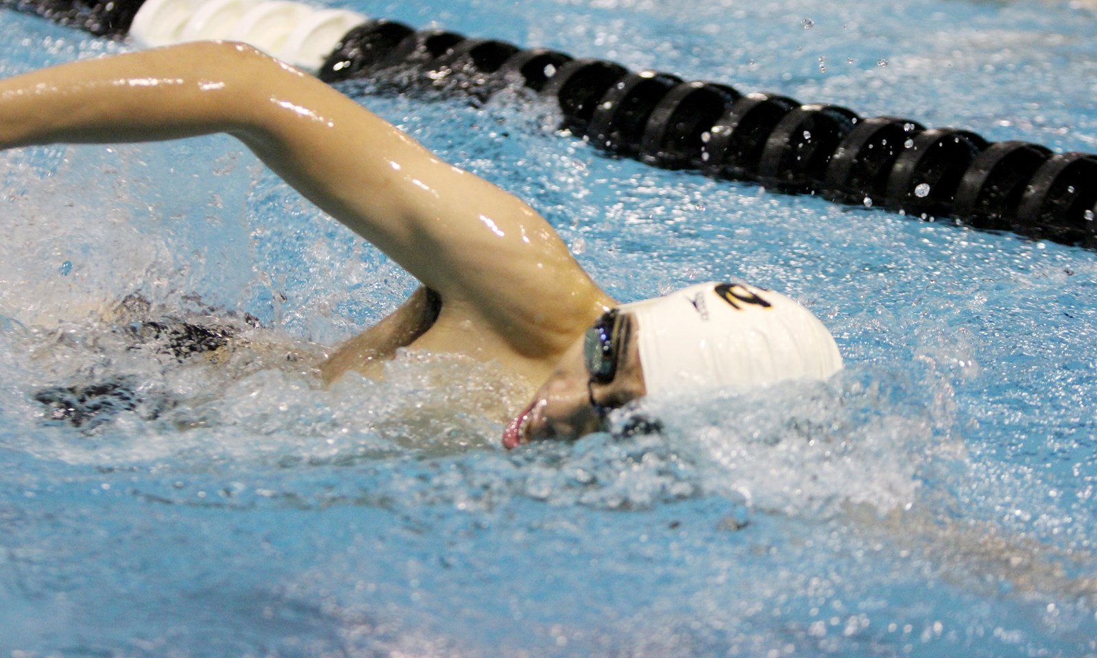 DQ Tong - Men's Swimming and Diving - St. Olaf College Athletics