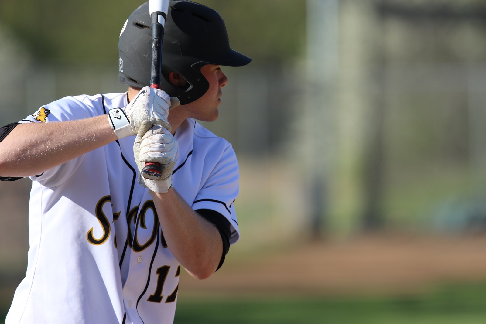 Ryan Iverson - Baseball - St. Olaf College Athletics