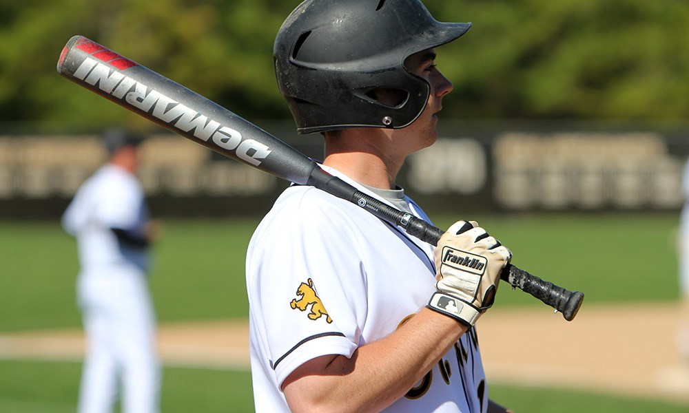 Dylan Blake - Baseball - St. Olaf College Athletics