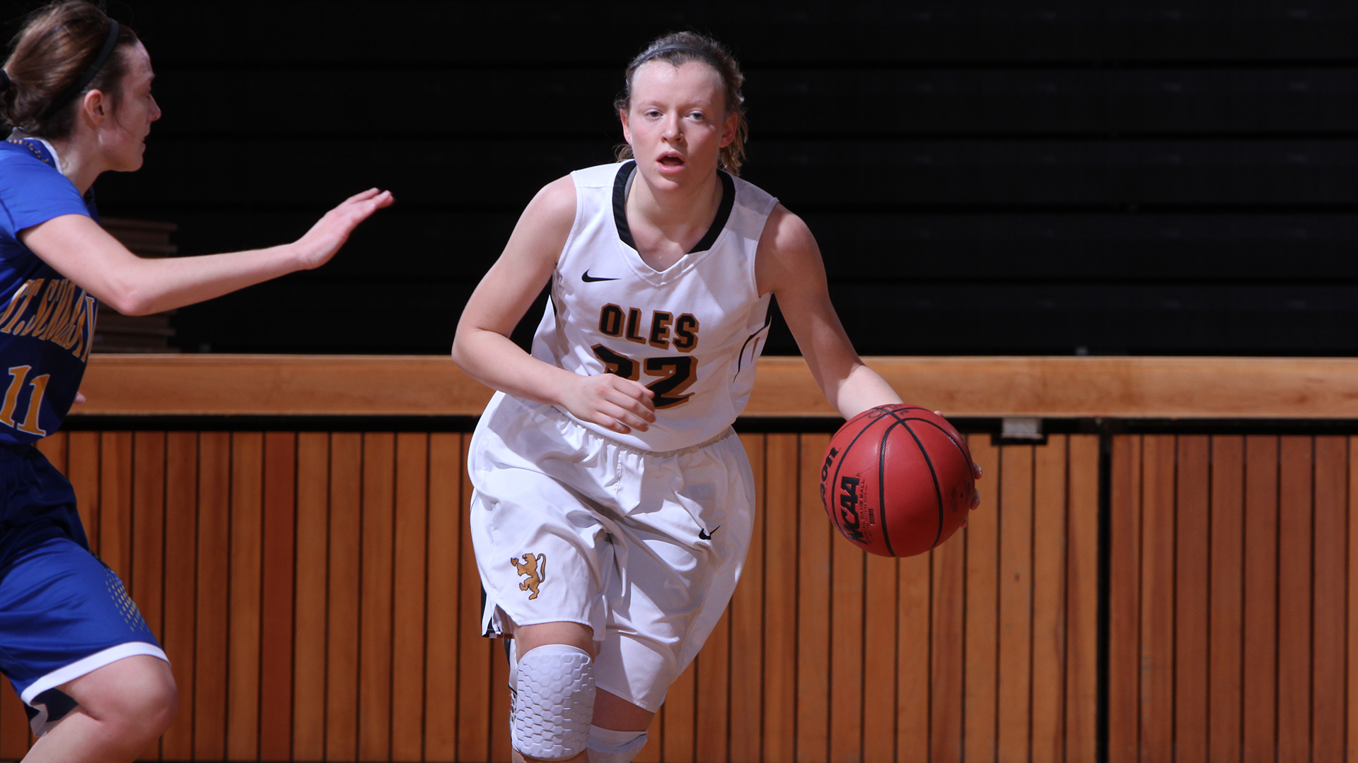 Skrien's career high not enough for women's basketball against UW-Stout ...