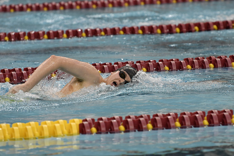 Zach McCarty - Men's Swimming and Diving - St. Olaf College Athletics