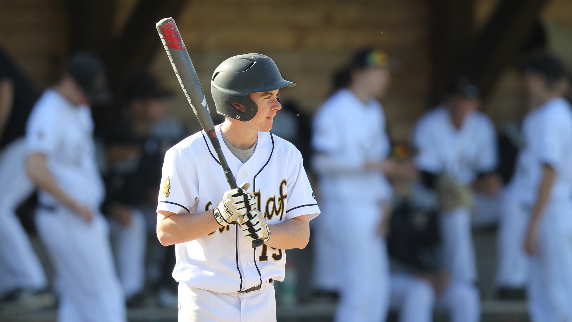 Dylan Blake - Baseball - St. Olaf College Athletics