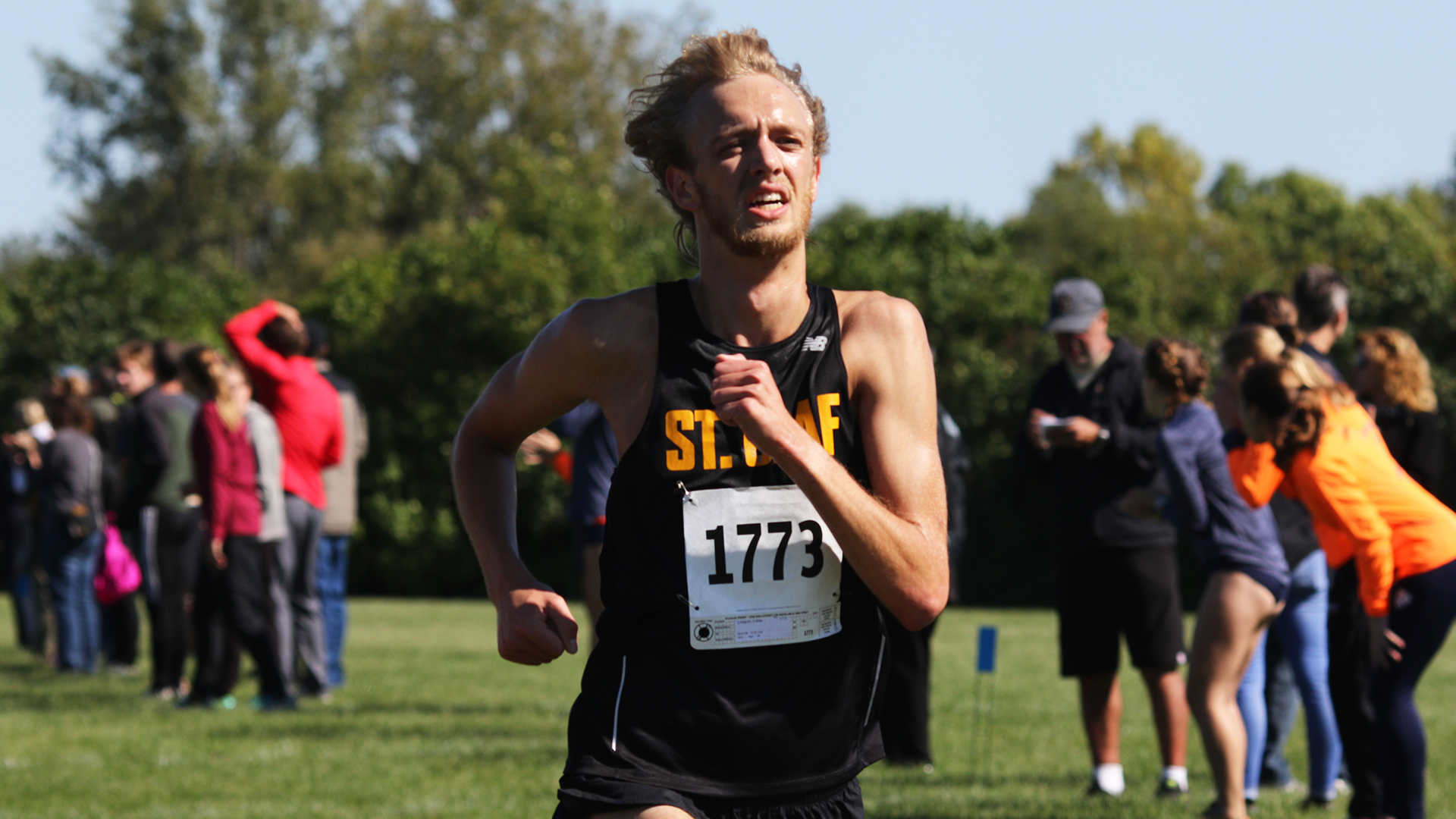 Lukas Lindgren - Men's Cross Country - St. Olaf College Athletics