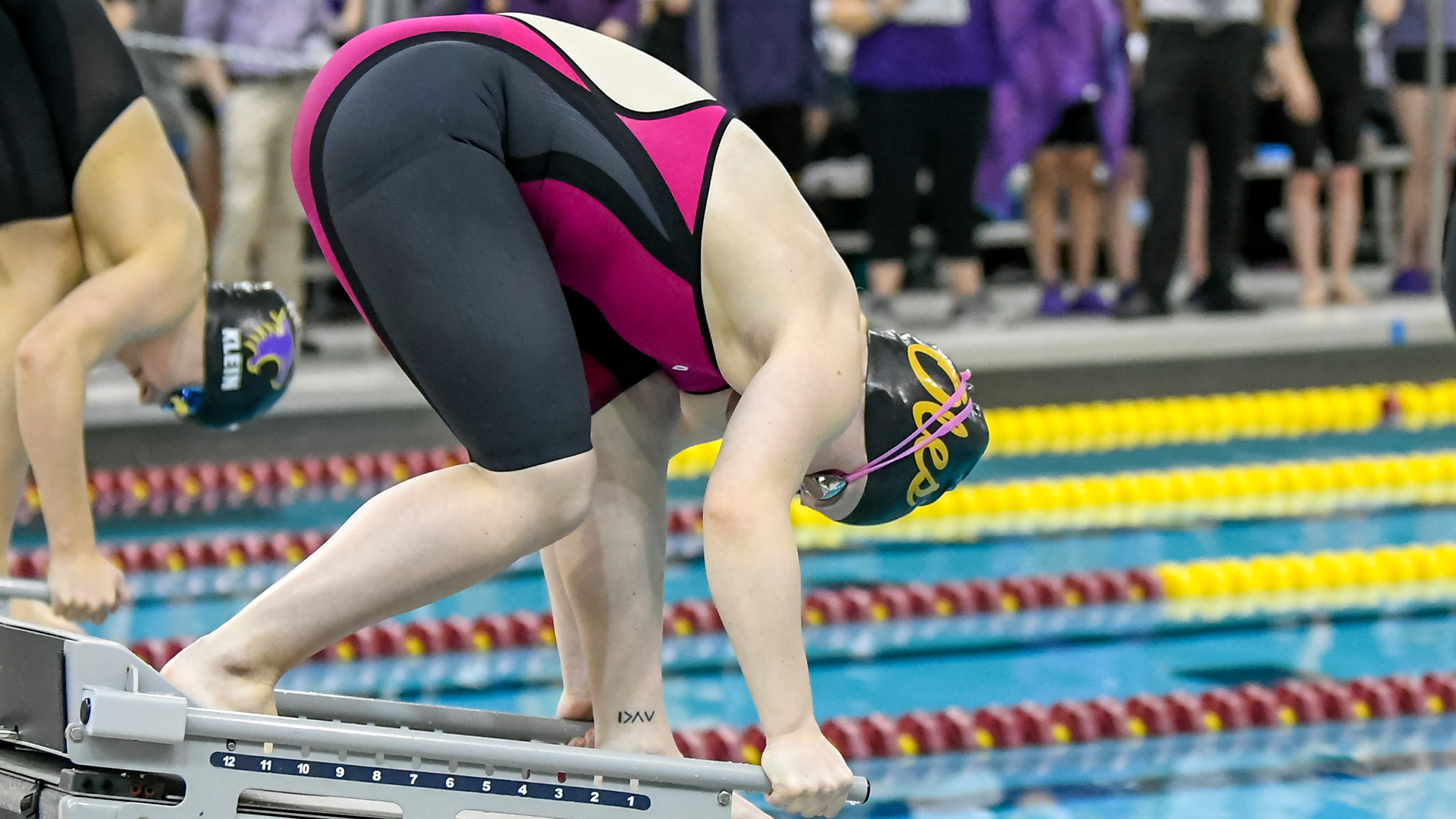 Olivia Prescott - Women's Swimming and Diving - St. Olaf College Athletics