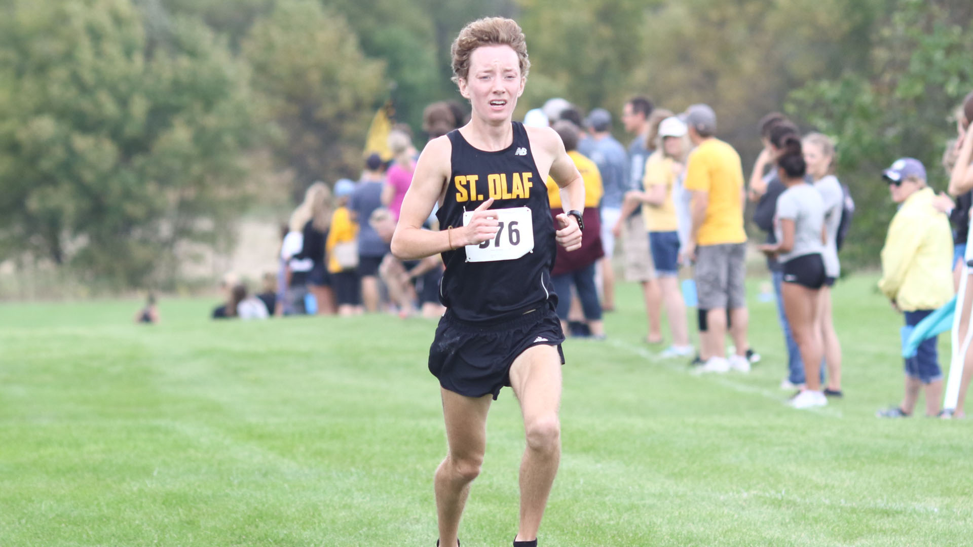 Chris Brenk - Men's Cross Country - St. Olaf College Athletics