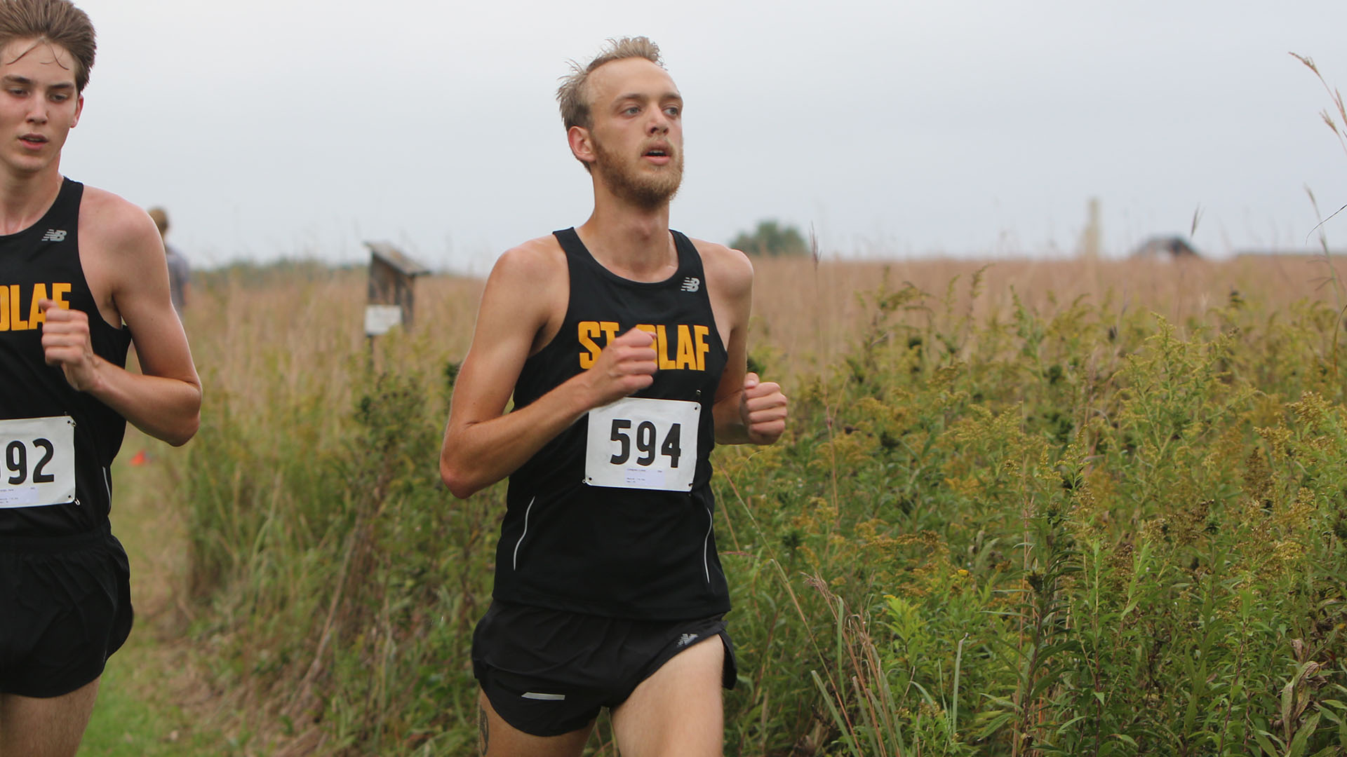 Lukas Lindgren - Men's Cross Country - St. Olaf College Athletics