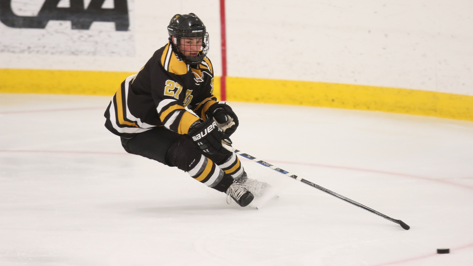 Andrew Willner - Men's Hockey - St. Olaf College Athletics
