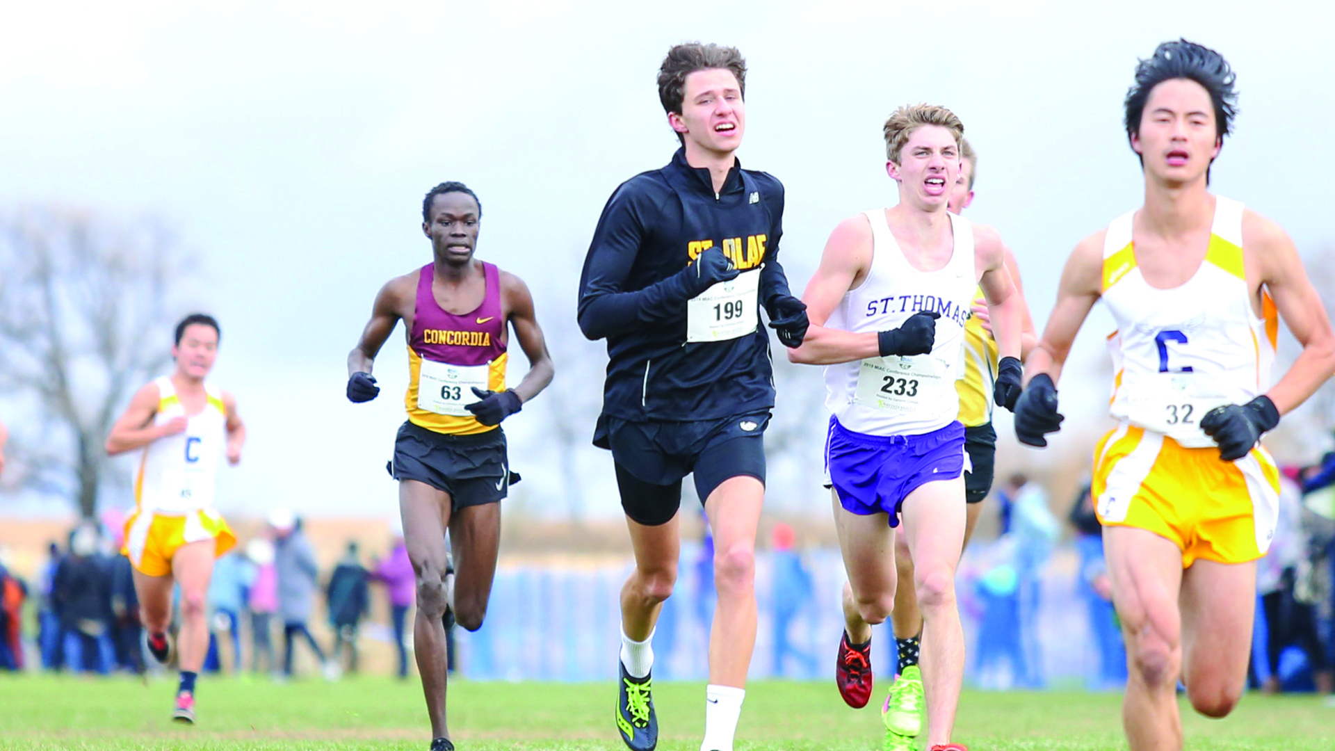 Luke Malek - Men's Cross Country - St. Olaf College Athletics