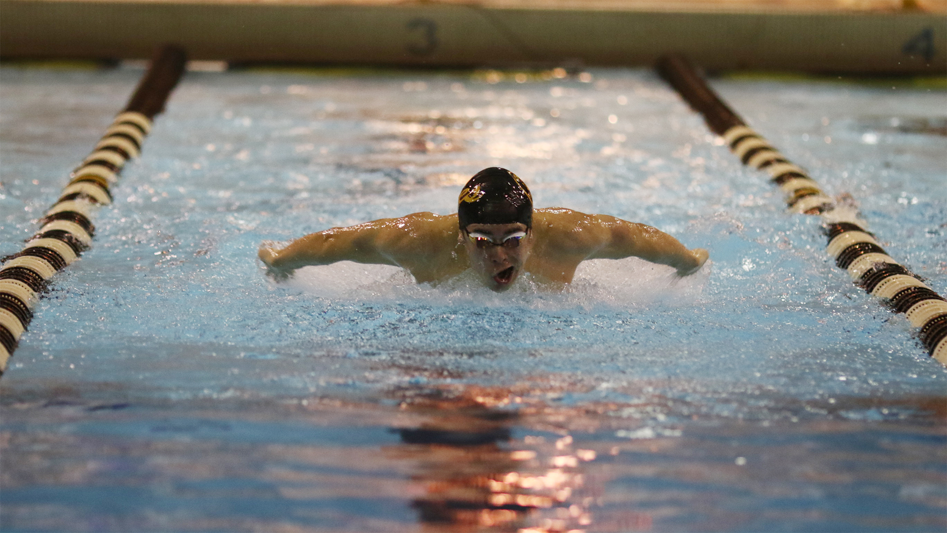 Tim Rizzo - Men's Swimming and Diving - St. Olaf College Athletics