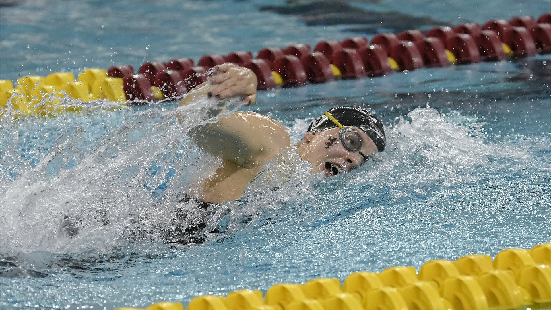Marissa Wolff - Women's Swimming and Diving - St. Olaf College Athletics